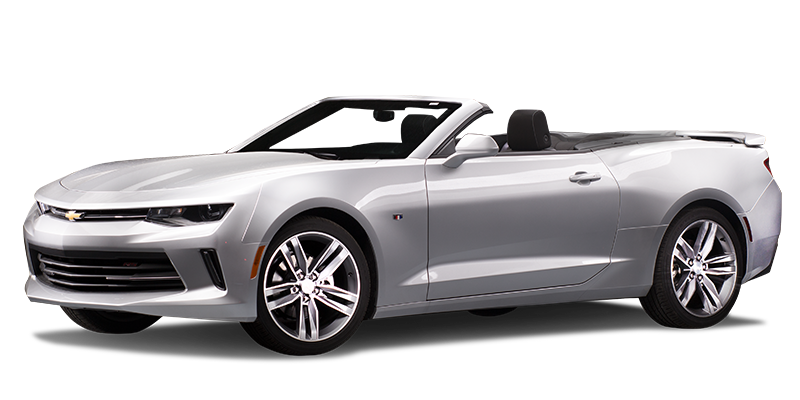 Bubbles and Tulips | Asher Edelman